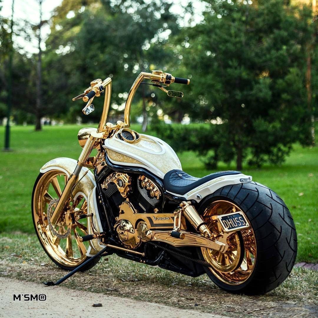 golden v-rod - MyConfinedSpace
