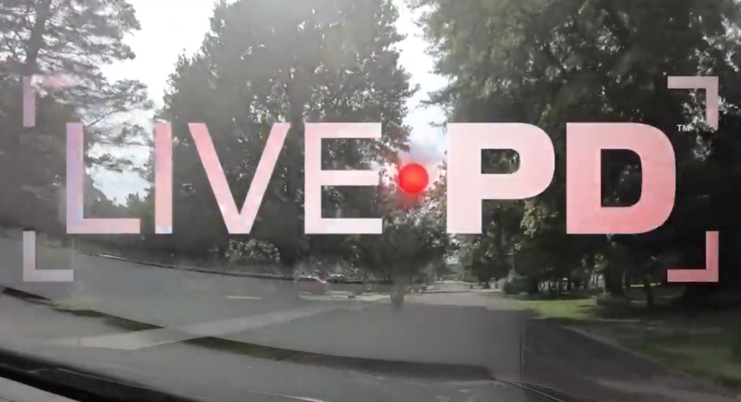 ‘Live PD’ TV Series Canceled in Wake of Protests Against Police ...