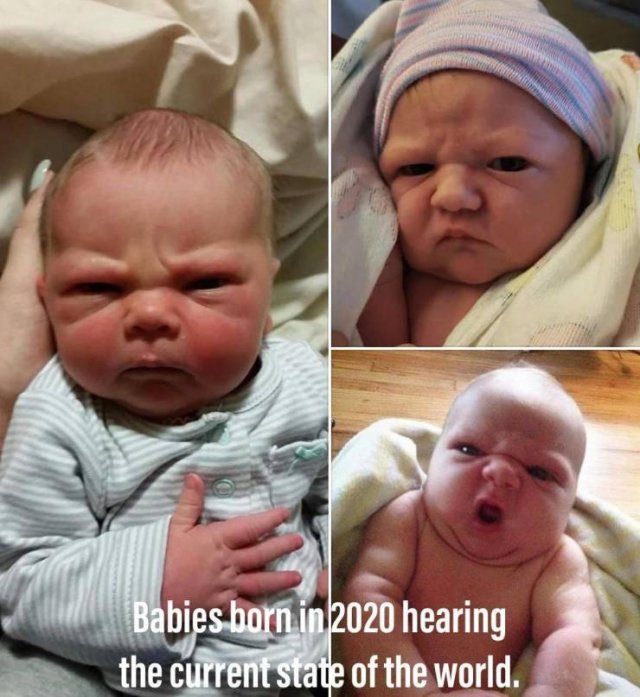 babies born in 2020 - MyConfinedSpace