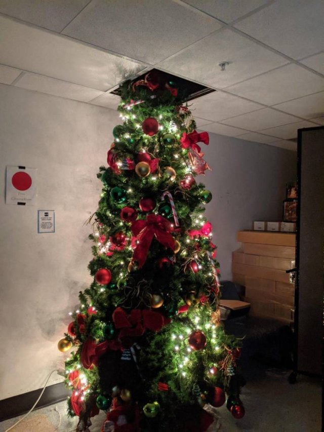 office christmas tree « MyConfinedSpace