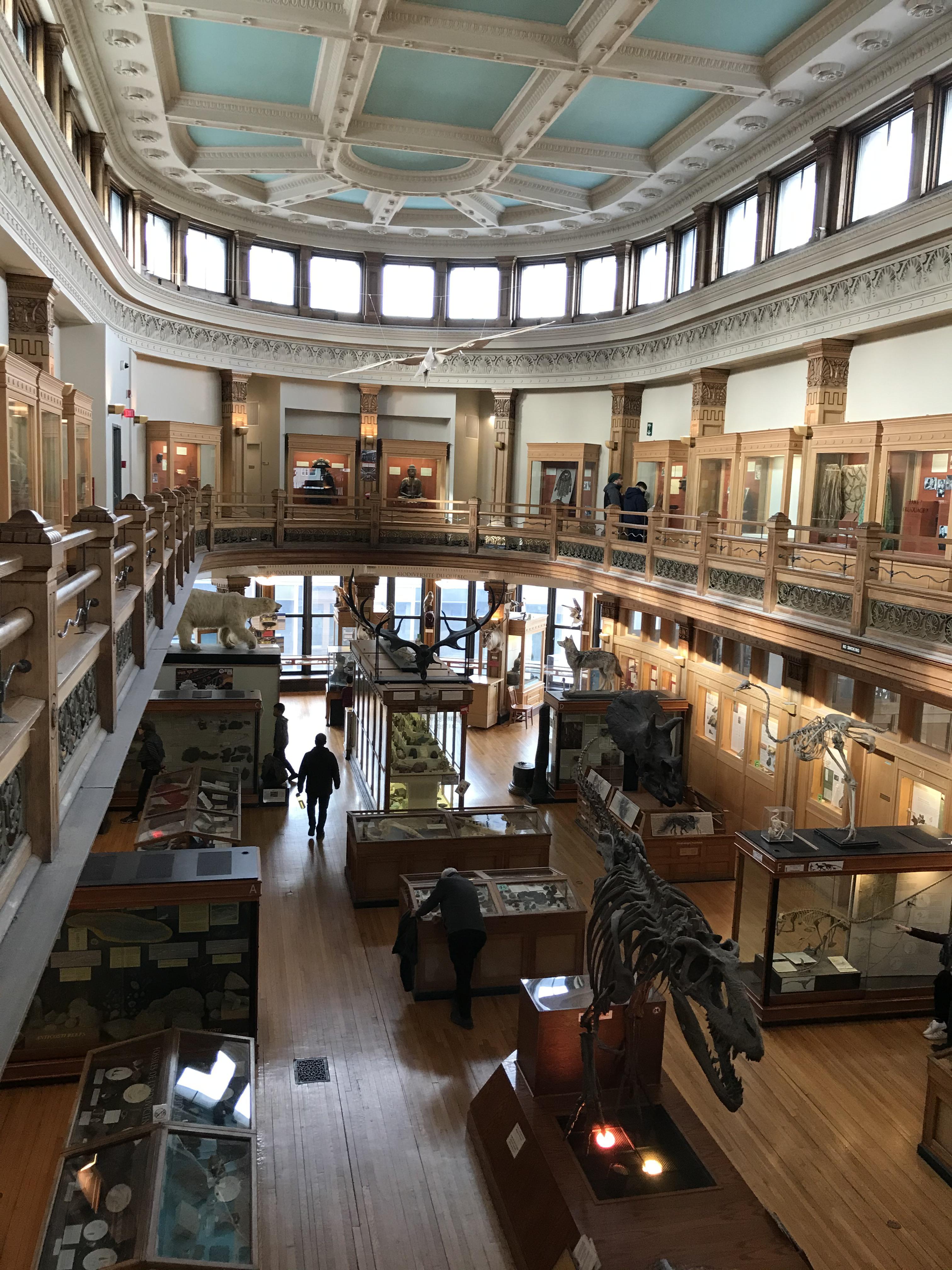 The Redpath Museum at McGill University in Montrea - MyConfinedSpace