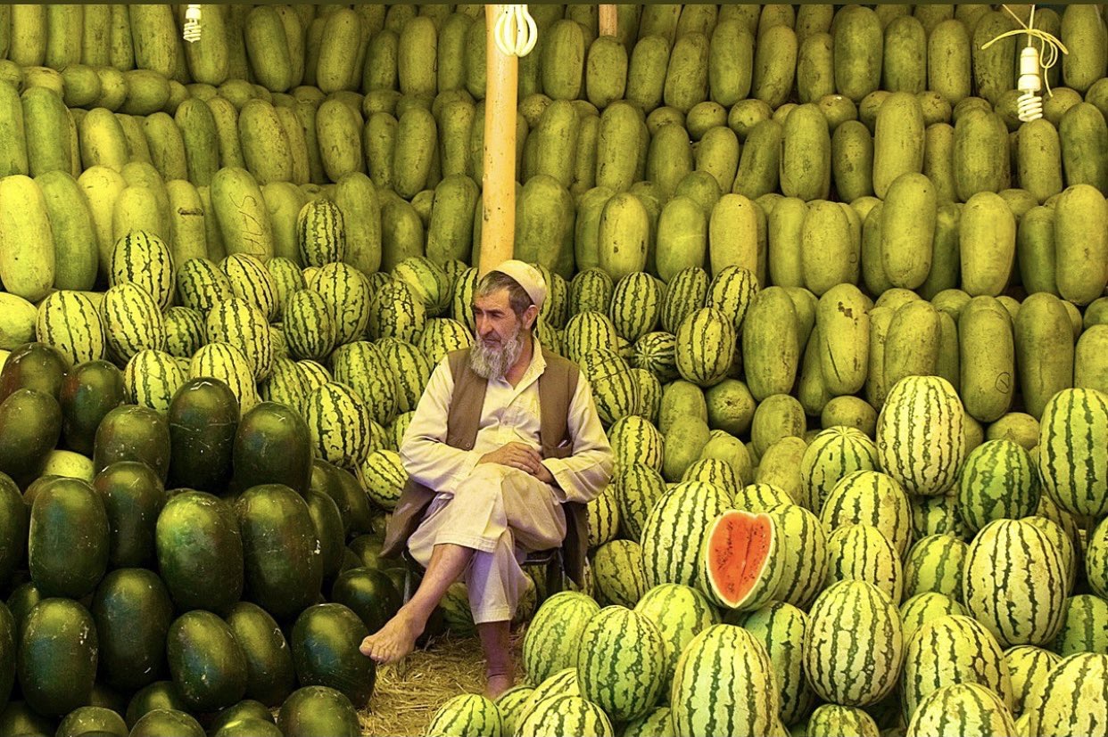 melon man - MyConfinedSpace