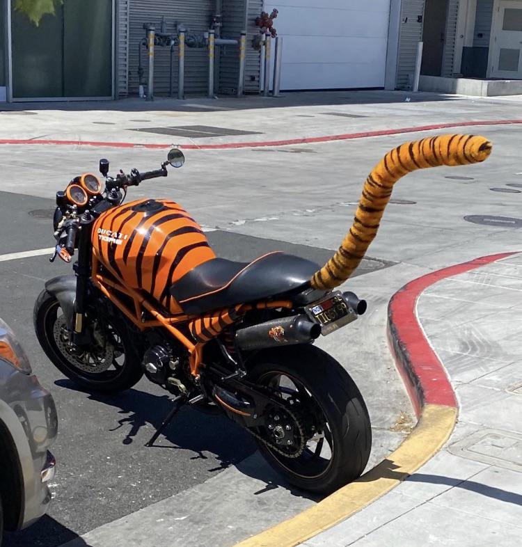 This tiger bike - MyConfinedSpace