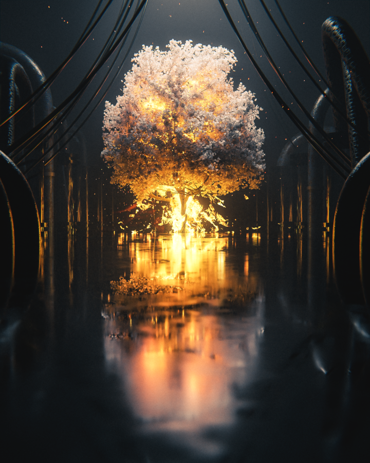 NATURE OC - MyConfinedSpace