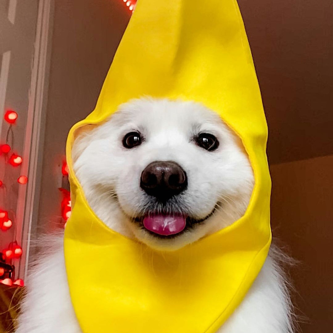 Banana boi - MyConfinedSpace