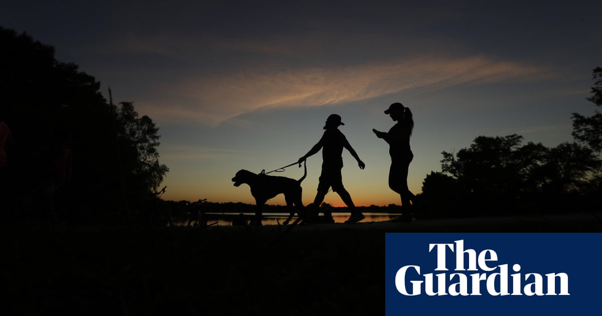 Texas governor vetoes bill protecting dogs from abuse - MyConfinedSpace