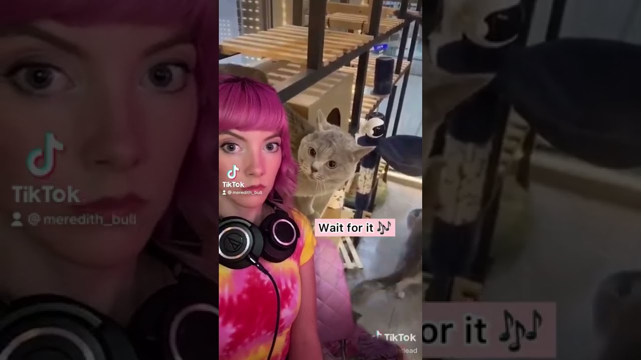 I Don’t Wanna Be Touched – Meredith Bull FULL SONG OUT NOW ...