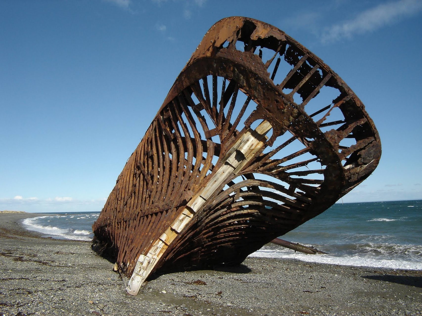 Rotting Bones - MyConfinedSpace MyConfinedSpace