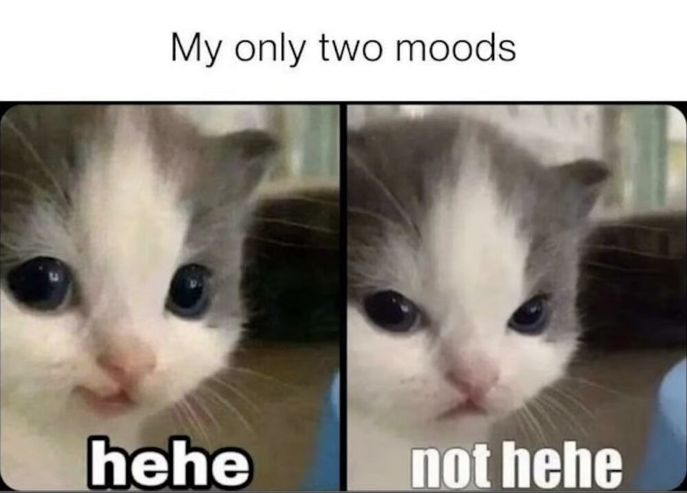 My two moods - MyConfinedSpace