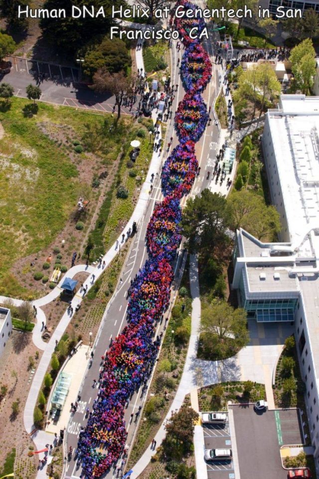 Human DNA Helix made of Humans - MyConfinedSpace