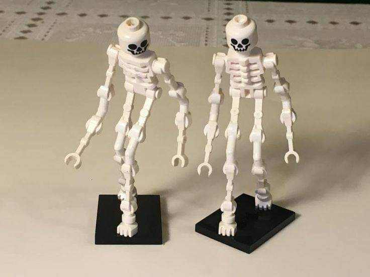 lego skeletons - MyConfinedSpace