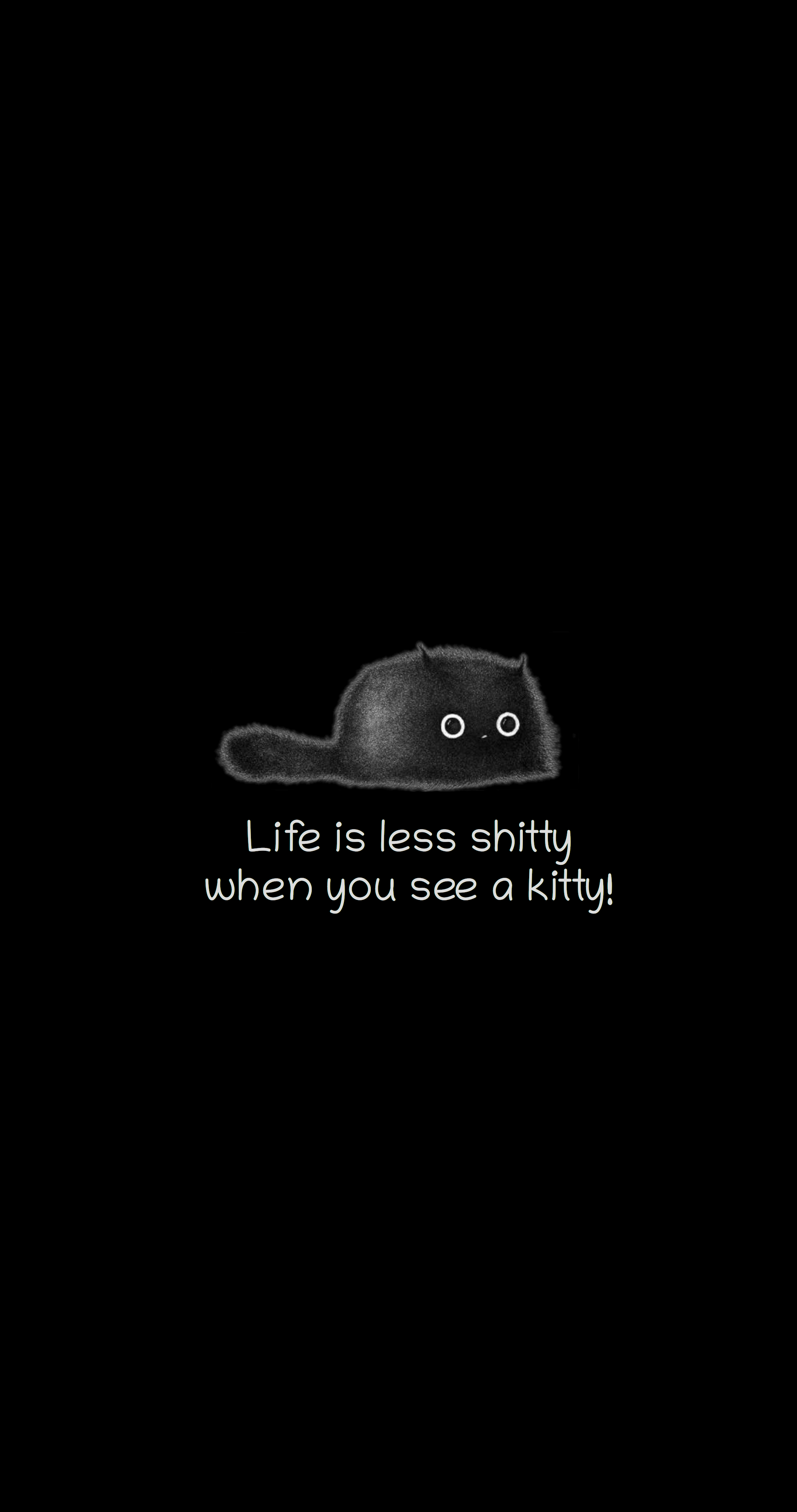 Life is less shitty when you see a kitty - MyConfinedSpace