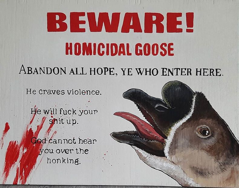 Beware: Homicidal Goose - MyConfinedSpace