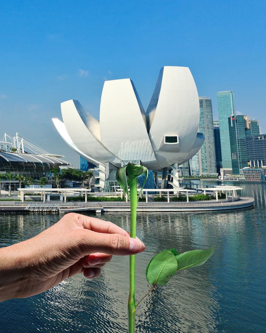 flower building - MyConfinedSpace