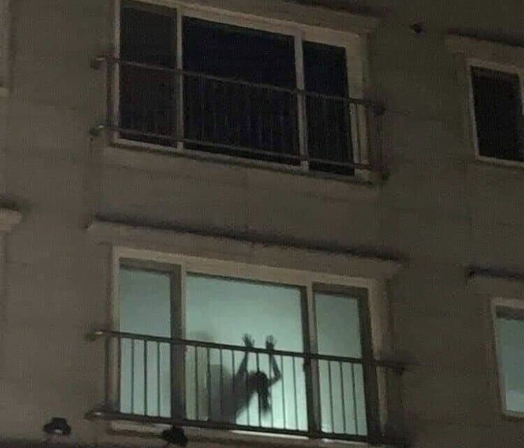 “Look mom there’s a spider monster at that window” - MyConfinedSpace