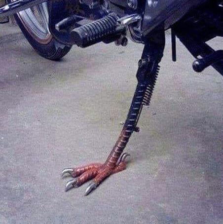 chicken bike - MyConfinedSpace