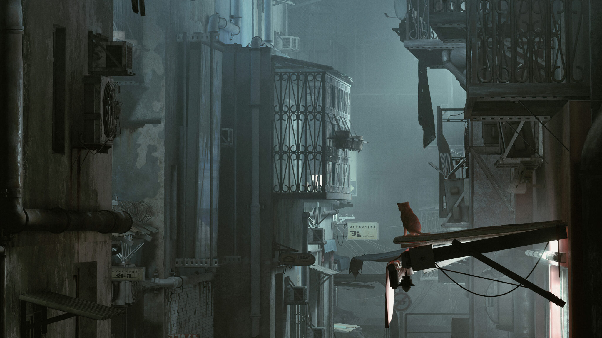 Stray City - MyConfinedSpace