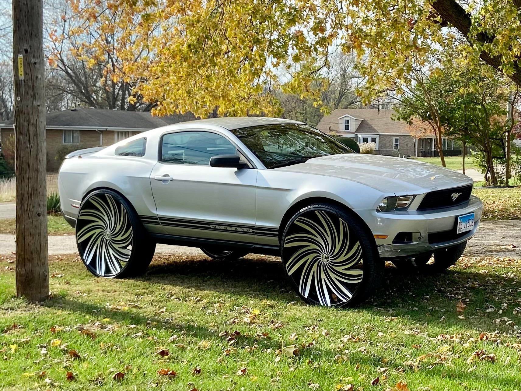 This Mustang - MyConfinedSpace