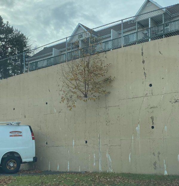 pipe tree - MyConfinedSpace