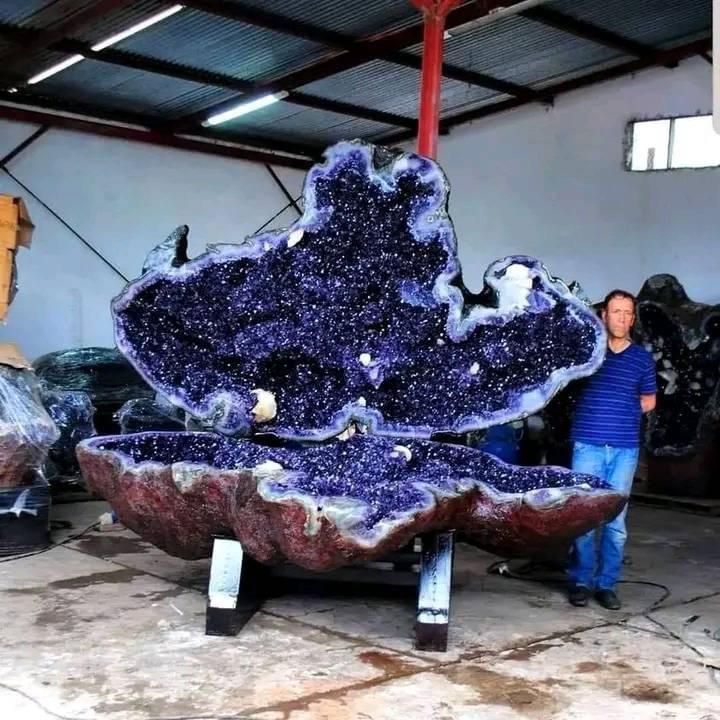 This looks like a huge shell,but is actually a rare Giant Amethyst ...