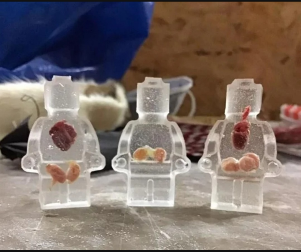 lego men with mice organs - MyConfinedSpace