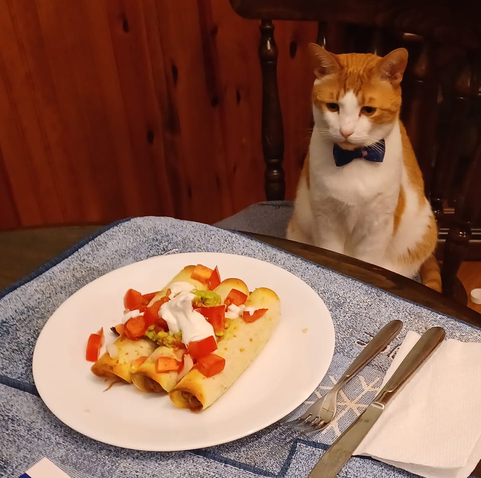 Hobbes is the best dinner companion ever - MyConfinedSpace