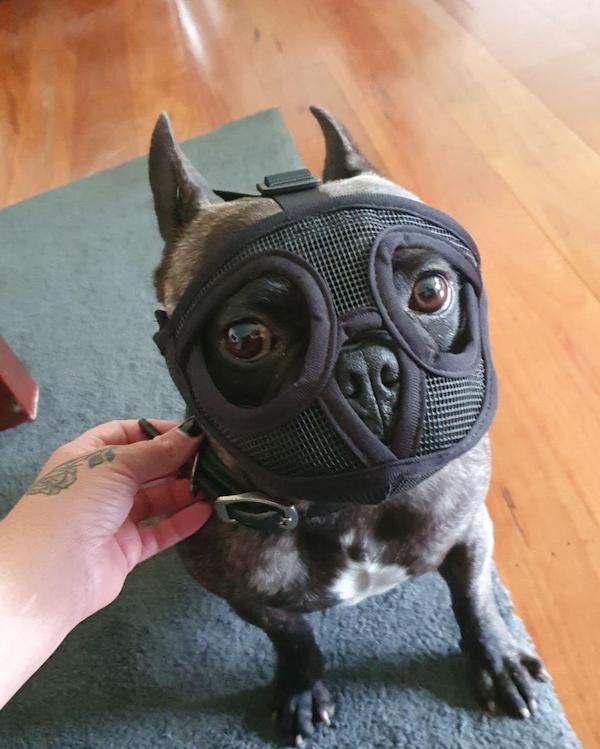 no one care who I was until I put on this mask - MyConfinedSpace