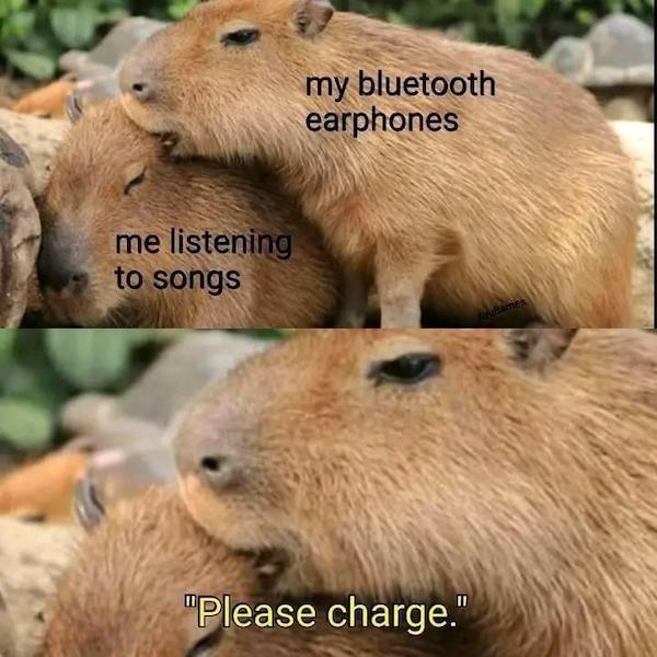 please charge - MyConfinedSpace