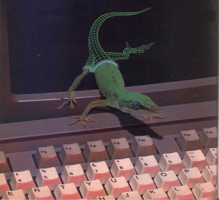 computer lizard - MyConfinedSpace