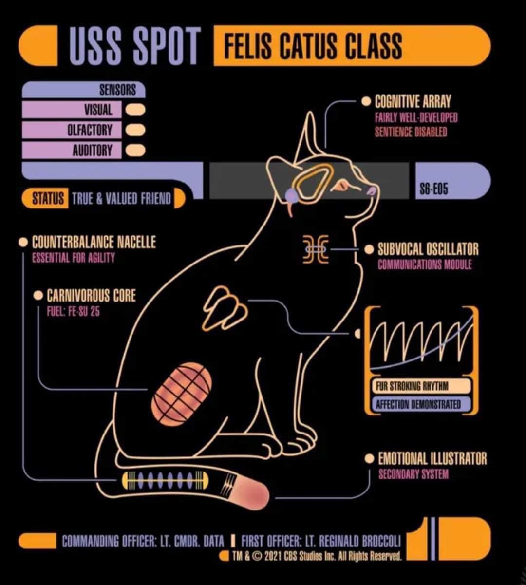 The new Felis Catus class -USS Spot - MyConfinedSpace