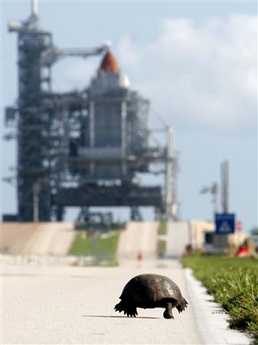 TURTLE - MyConfinedSpace