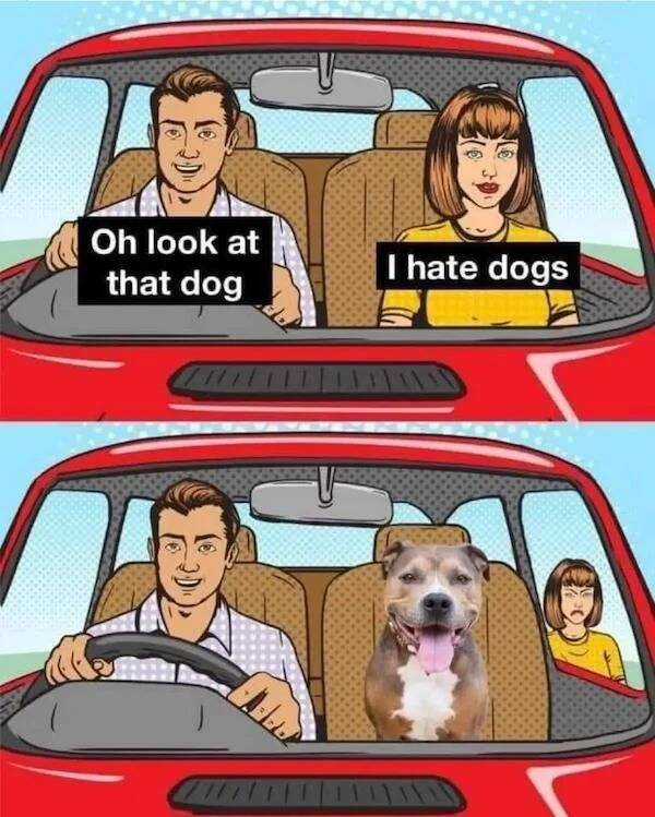 oh look at that dog - MyConfinedSpace