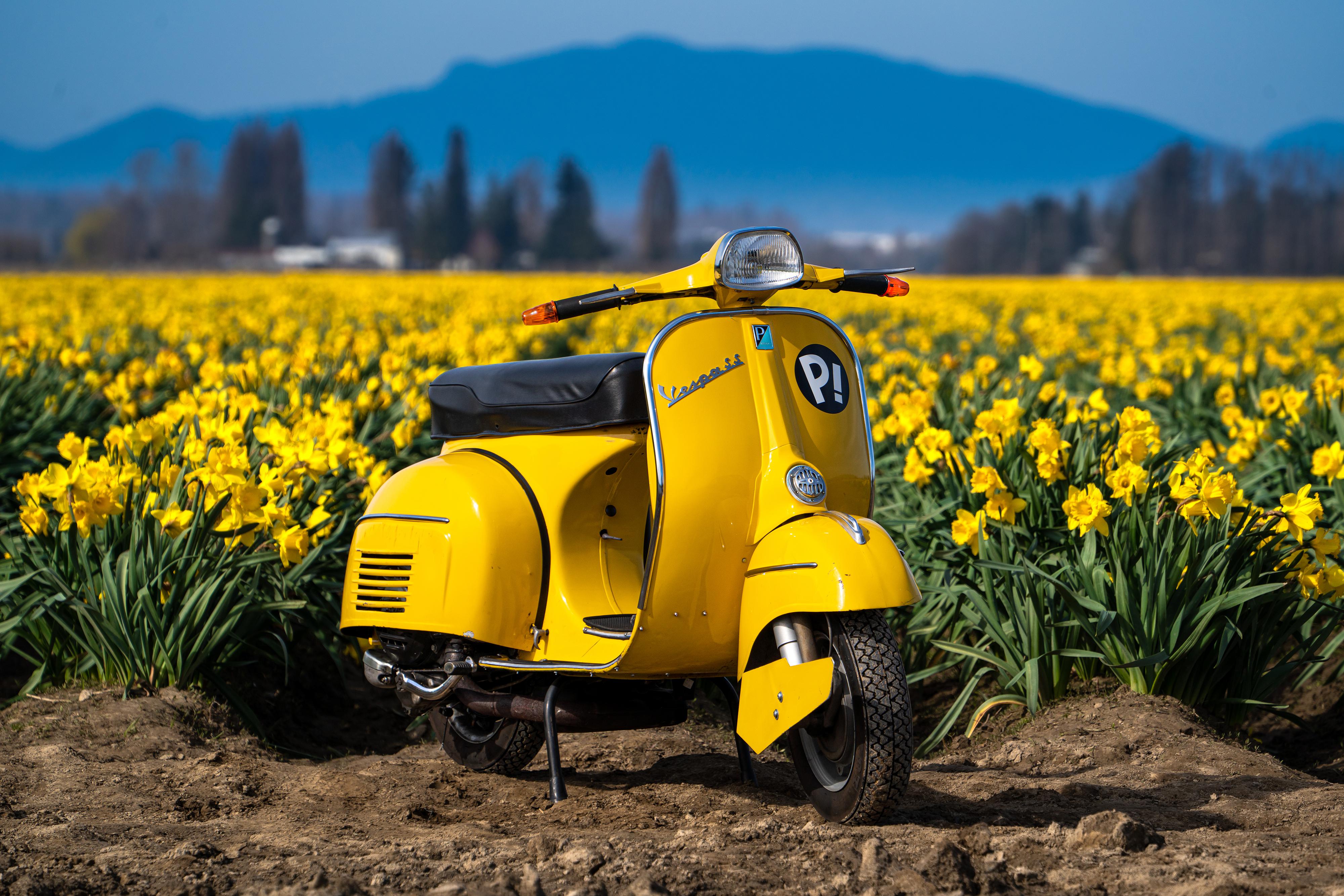 1965 Vespa Super Sport 180 near Seattle - MyConfinedSpace