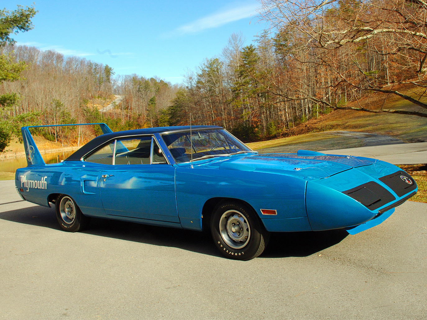 SUPERBIRD - MyConfinedSpace
