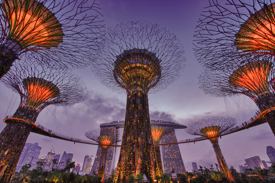 Singapore builds man-made super trees” - MyConfinedSpace