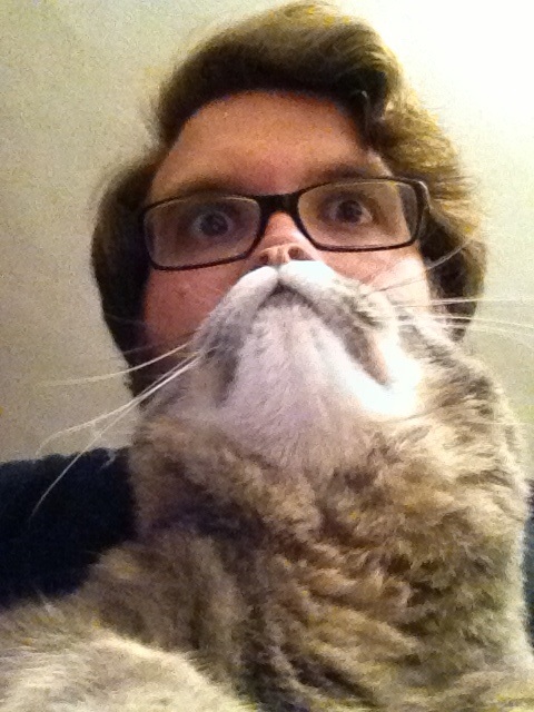 cat bomb - MyConfinedSpace