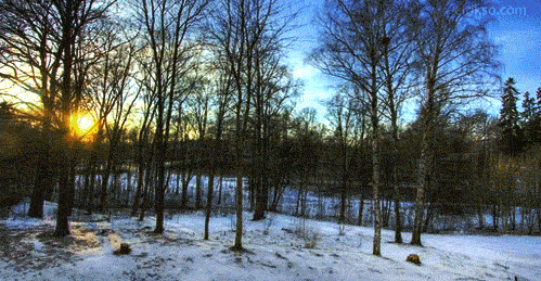 A gif for all seasons - MyConfinedSpace