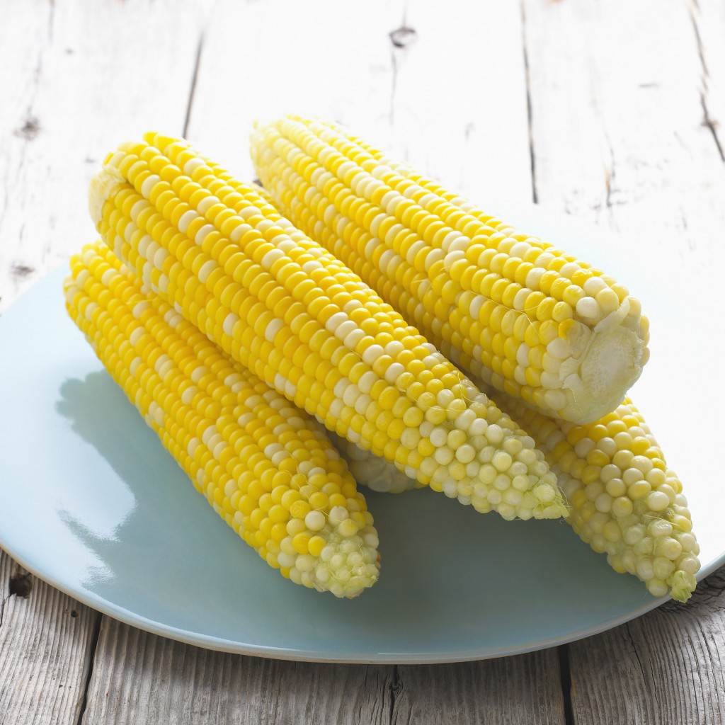 corn plate | MyConfinedSpace