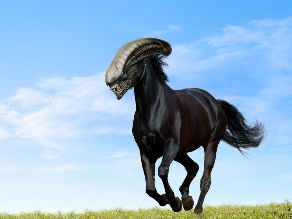 Alien horse - MyConfinedSpace