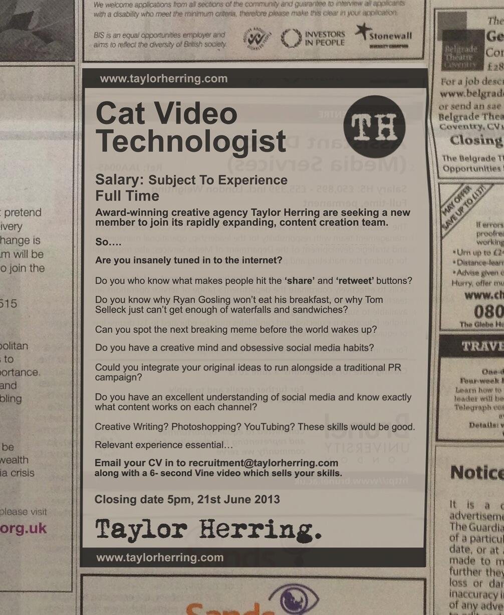 Help Wanted: Cat Video Technologist - MyConfinedSpace
