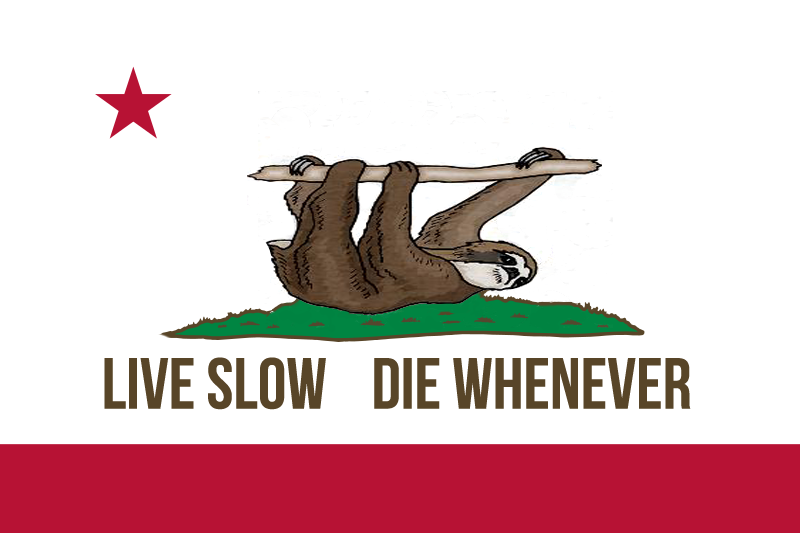 sloth nation - MyConfinedSpace