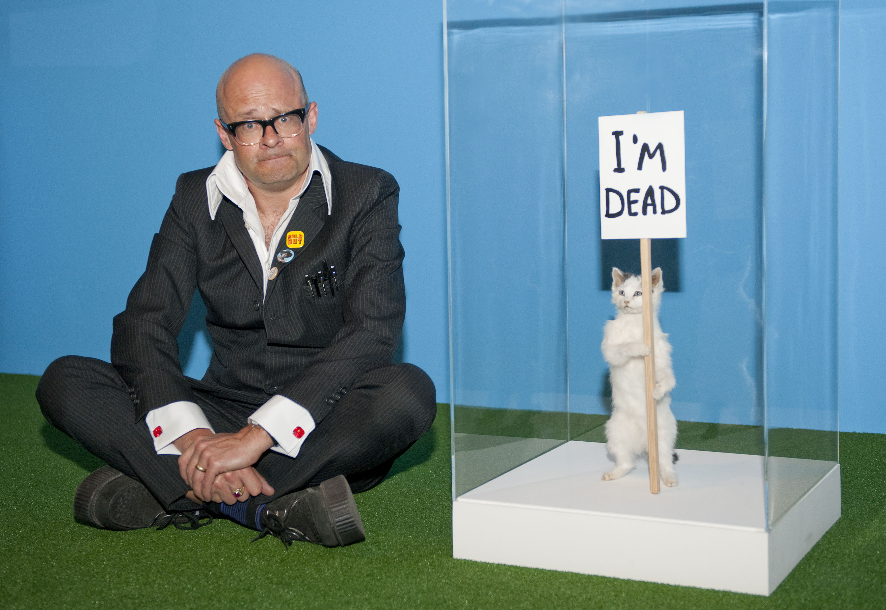 Harry Hill and David Shrigley cat - MyConfinedSpace