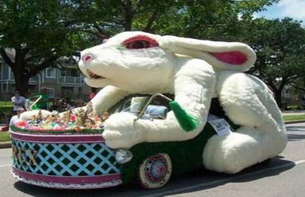 Animal Cars - MyConfinedSpace MyConfinedSpace