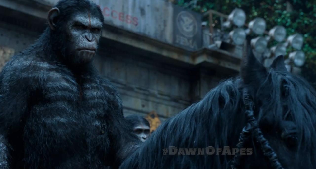 Caesar - MyConfinedSpace MyConfinedSpace