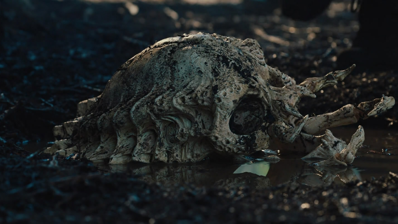 Predator Skull - MyConfinedSpace