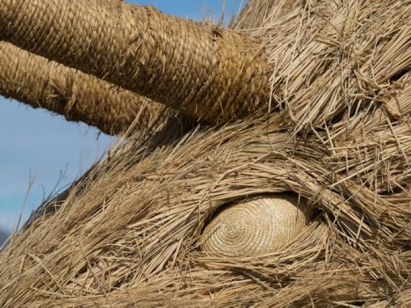 Straw Monsters - MyConfinedSpace