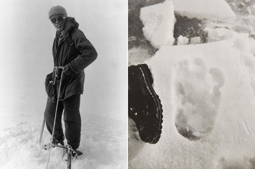 The Yeti Files (part the two) - MyConfinedSpace