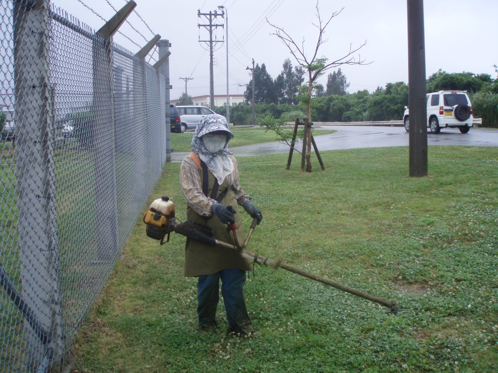 Grass Ninja | MyConfinedSpace