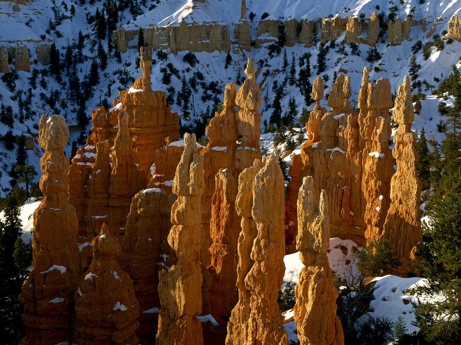 Fairyland Canyon, Bryce California - MyConfinedSpace