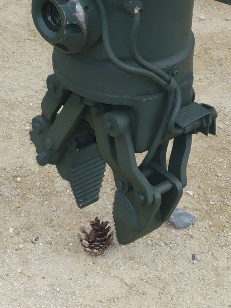In Japan robots pick up pine cones. - MyConfinedSpace